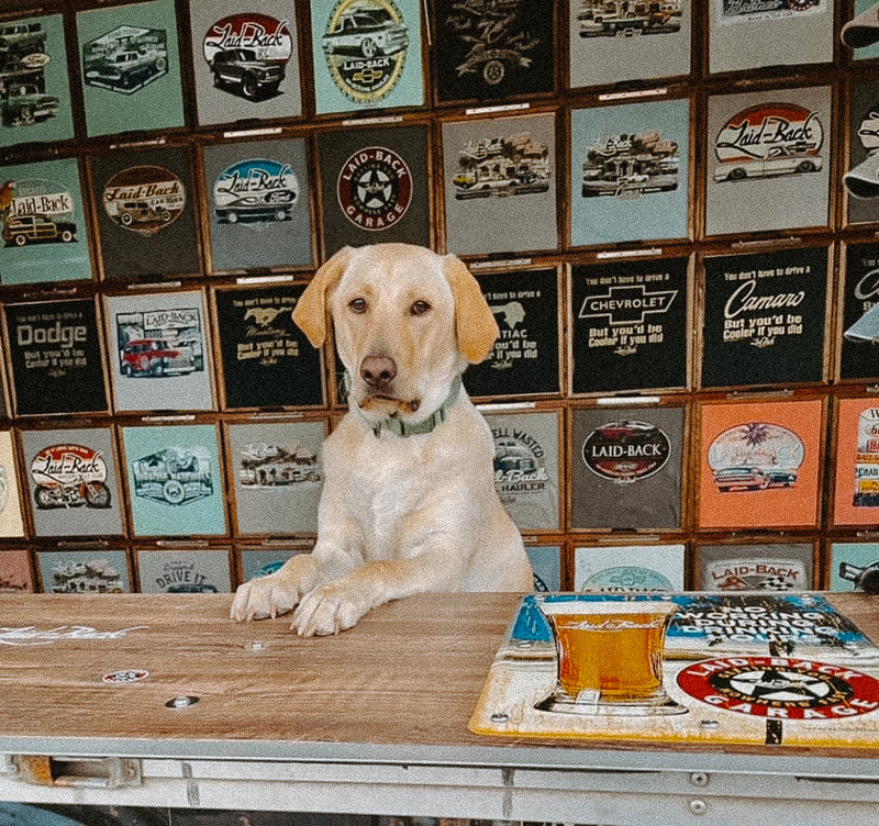 ABOUT US | The Story of High Range Designs and Laid-Back USA